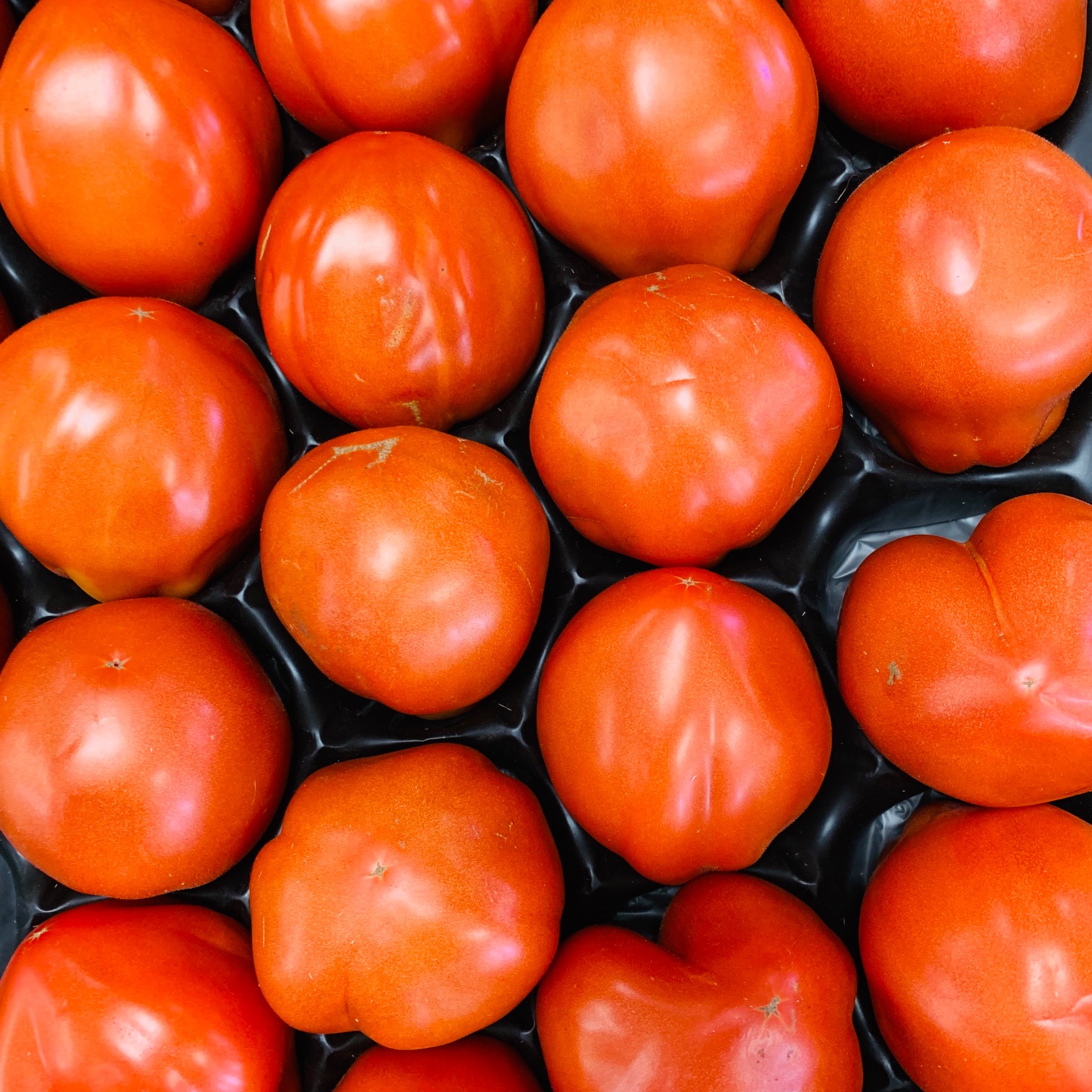 tomate-ronde - Coop Paysanne